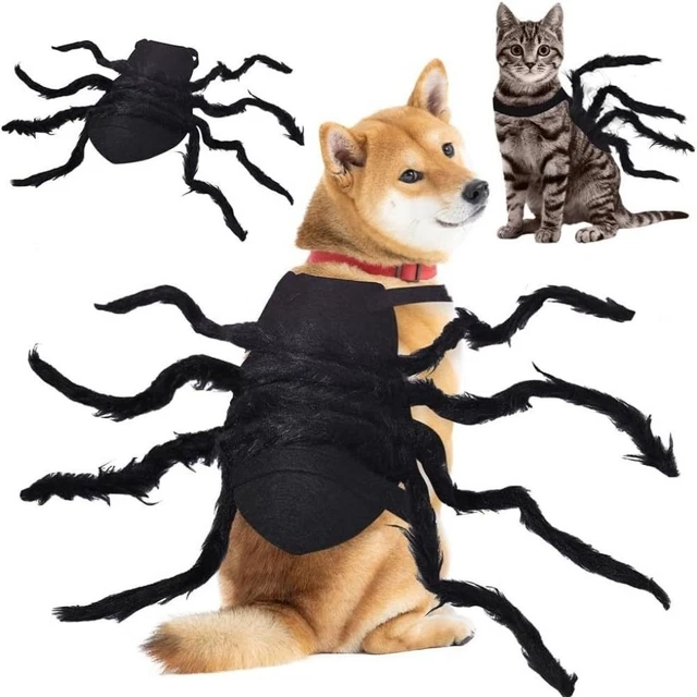 CLOTH CAT DOG Cosplay Costume Furry Spider Costume Cosplay Event $30.42 ...