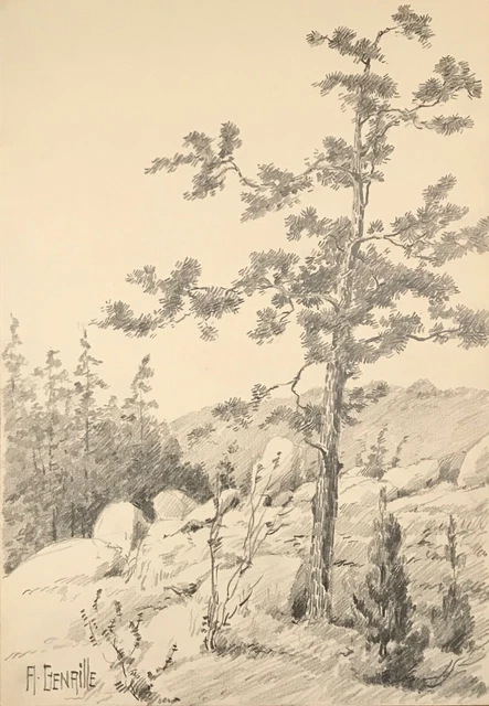 ALEXANDRE GENAILLE - Dessin original - Crayon - Forêt de Fontainebleau ...