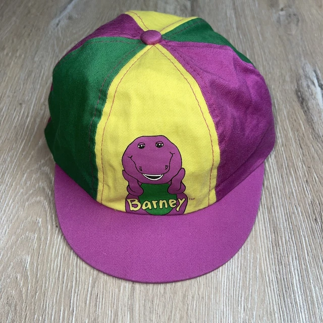 VINTAGE 1992 LYONS Barney The Purple Dinosaur Cap Hat Youth Color Block ...