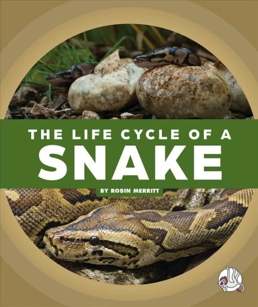 LIFE CYCLE OF a Snake, Library by Merritt, Robin, Brand New, Free ...