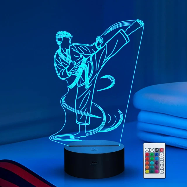AMMONITE KARATE NIGHT Light, Karate Player 3D Lamp 16 Color Changing ...
