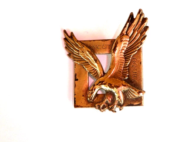 AIR COMMANDO 1ST MODEL CHEST BADGE RARE MODEL WITH LICENSE PLATE ...