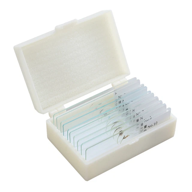 10 Pcs Set Specimens Slides Biology Prepared Biological Microscope