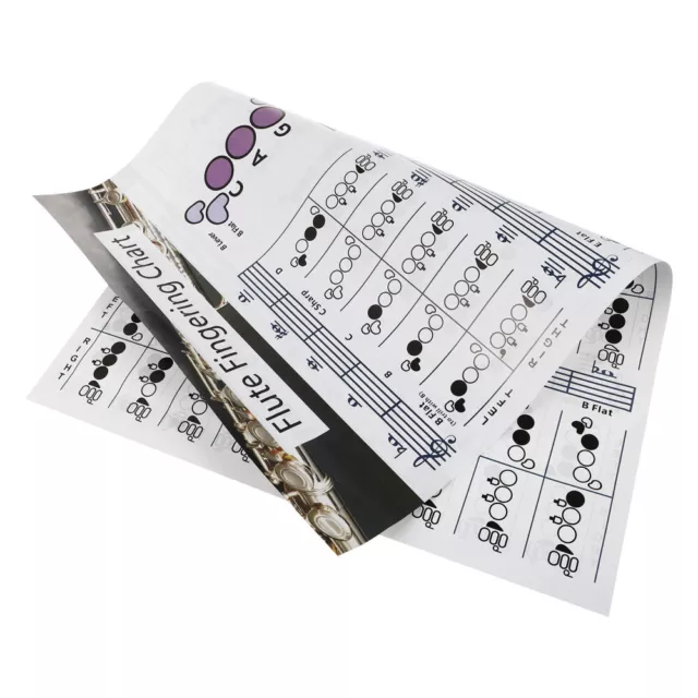 Useful Flute Note Chart Chord Principles Practical Guide £1759 Picclick Uk