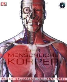 DER MENSCHLICHE KÖRPER. Neuer Bildatlas der Anatomie de St... | Livre | état bon EUR 31,46 ...