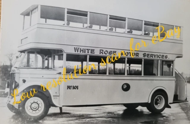 BUS PHOTO: WHITE ROSE Rhyl (later Crosville) Leyland Original Photo £1. ...