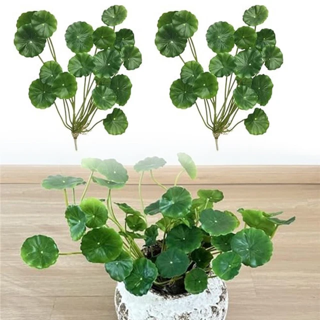 LA PLANTE DE lotus r??aliste SevenLeaf cr??e s??r??nit?? int??rieure et beaut?? EUR 7,25 ...