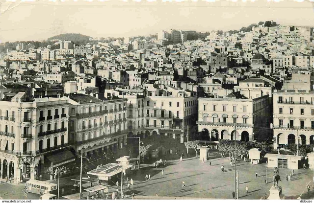ALGÉRIE - ALGER - La Place du Gouvernement et la Casbah - Carte Dentelée - CPSM EUR 4,50 ...