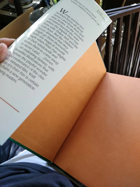 WALT DISNEY PETER Pan 1994 Todd Strasser Disney Press HCDJ Book Fairy ...