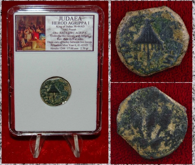 ANCIENT COIN JUDAEA Prutah HEROD AGRIPPA I Appointed By Caligula ...