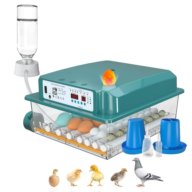 COUVEUSE OEUF AUTOMATIQUE, Couveuse Automatique Pour 24-36 Œufs Avec ...