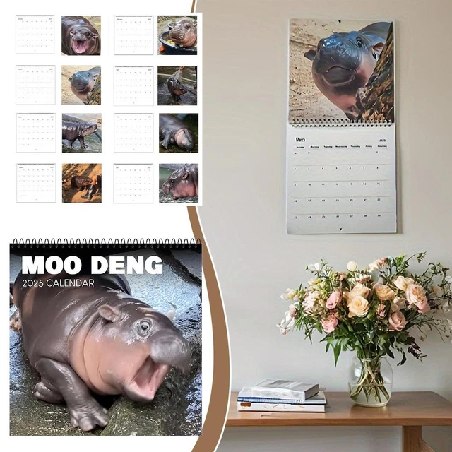 2025 MOO DENG Calendar, 2025 Moo Deng Pygmy Hippo Monthly Wall Calendar ...