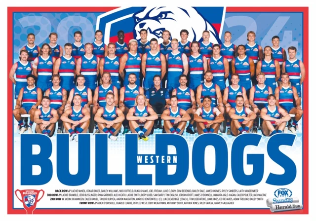 WESTERN BULLDOGS LAMINATED Afl football 2024 TEAM POSTER,BIG 420mm $25. ...