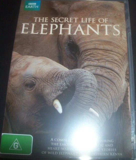 BBC EARTH - The Secret Life Of Elephants Region 4 DVD - BRAND NEW $12. ...
