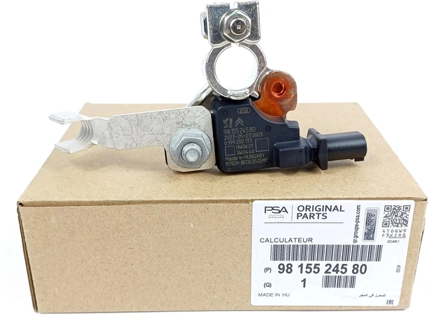 ORIGINAL PSA CAPTEUR de Charge de Batterie Terminal C5 407 508 ...