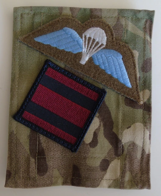 BRITISH ARMY ROYAL Engineers Parachute Trained MTP/Blanking Panel/Patch ...