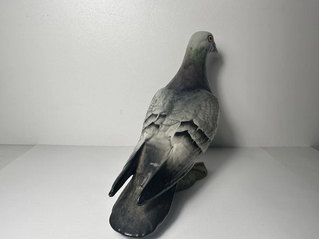 BESWICK - BESWICK Grey Pigeon Porcelain Figurine No 1383 Gloss Finish £ ...