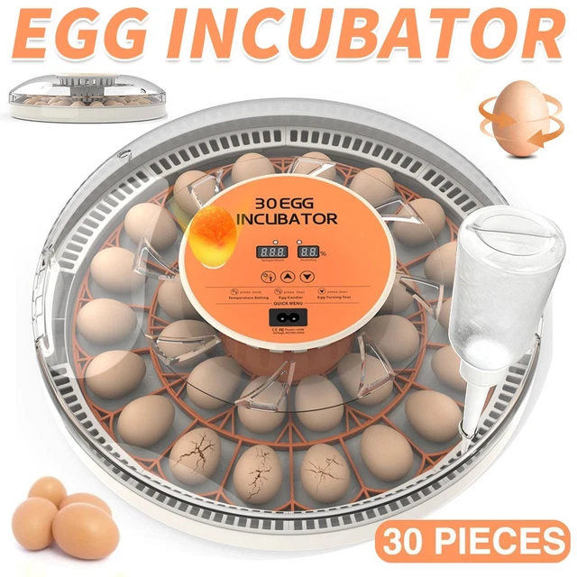 30 PC EGG Digital Egg Incubator LED Fully Automatic Turning Chicken ...