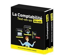 LA COMPTABILITÉ TOUT-EN-UN pour les Nuls, 2e éd de Thibaul... | Livre ...