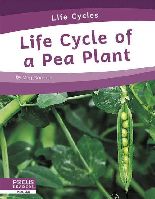 LIFE CYCLE OF a Pea Plant (Life Cycles) by Meg Gaertner | Paperback ...