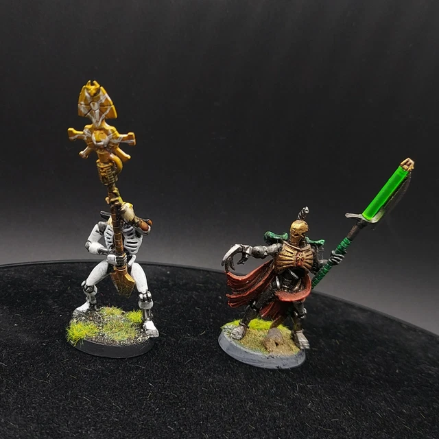 PRO PAINTED WARHAMMER 40k necron lord and cryptek games workshop £44.55 ...
