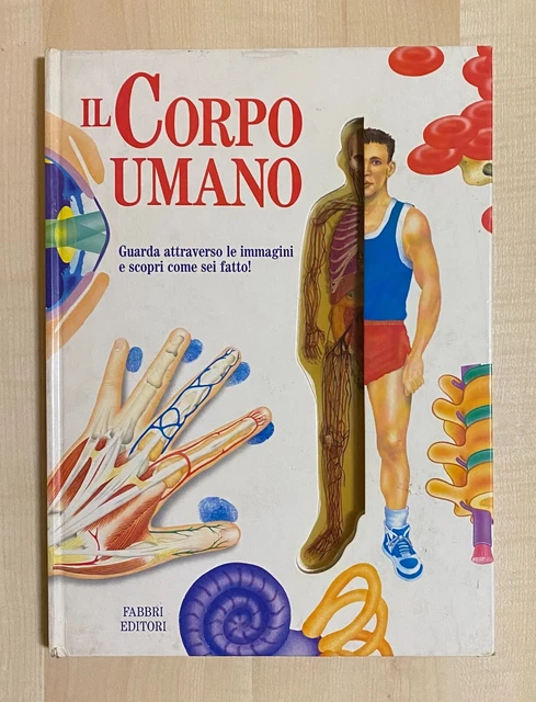 POP-UP: IL CORPO umano. 1ed Fabbri Editori 1993 EUR 14,00 - PicClick IT