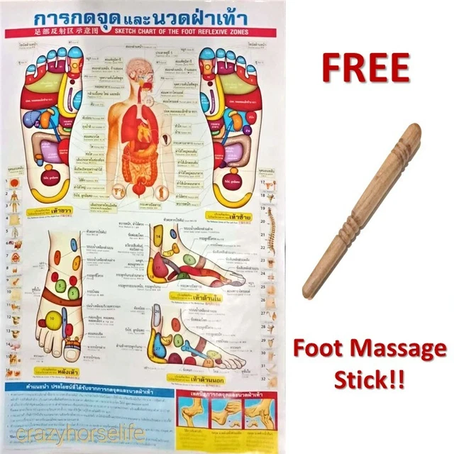 REFLEXOLOGY ZONES THAI Foot Massage Health Chart Poster FREE Massage ...
