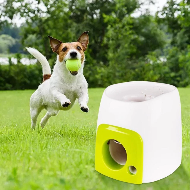 HOT DOG PET Toy Tennis Launcher Throwing Machine Balls Throw DeviY5 £25 ...
