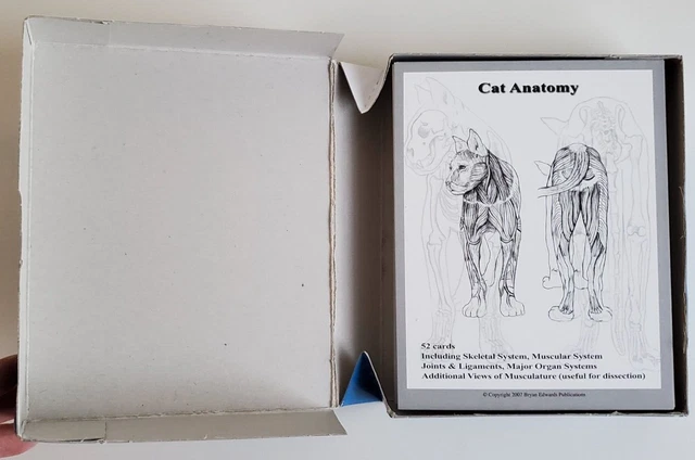 CAT ANATOMY FLASH Cards Set Body Part Skeleton Bryan Edwards Publishing ...