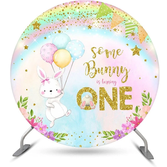 RAINBOW RABBIT BALLOON Round 1St Birthday Backdrop $37.90 - PicClick AU