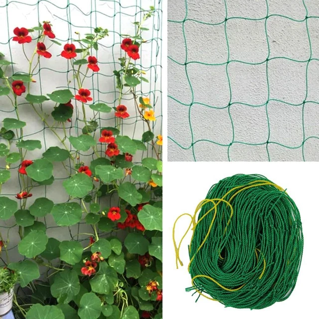 GARDEN PLANT CLIMBING Net Trellis Netting Mesh Holder Fruit Vine D8Q4 £ ...