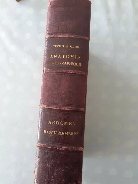 ANATOMIE TOPOGRAPHIQUE (TESTUT & jacob) abdomen bassin membres EUR 20 ...