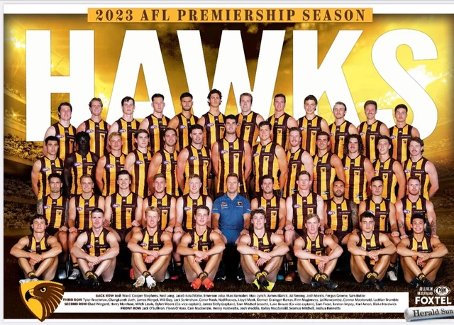 LAMINATED 2023 HAWTHORN hawks team POSTER,AFL FOOTBALL PREMIERS,SWANS ...