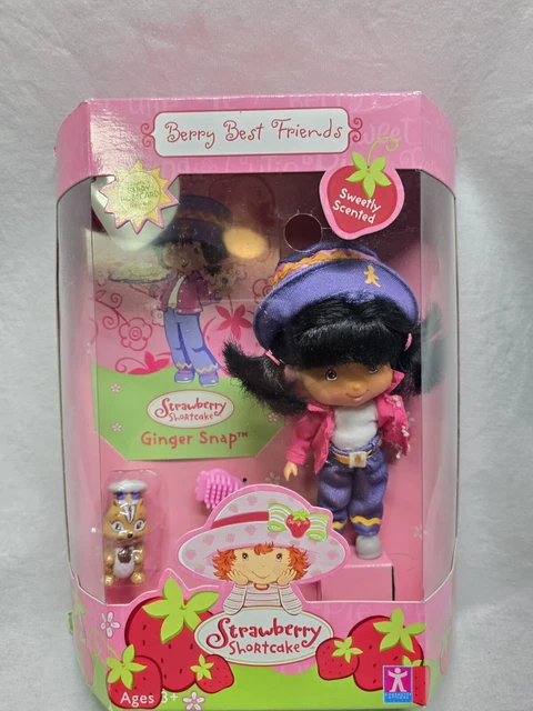 GINGER SNAP DOLL Chocolate Chipmunk Berry Best Friends Strawberry ...