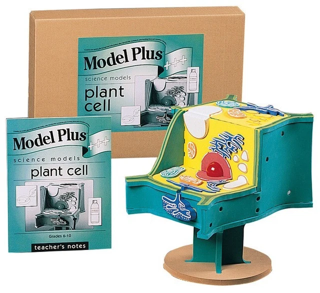 PLANT CELL MODEL Plus Science School Educational Grades 6-10 S169074 ...