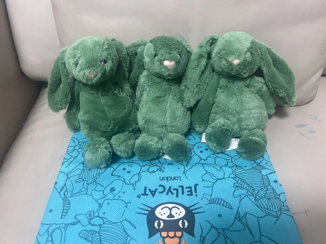 BNWT JELLYCAT BASHFUL Ivy Bunny 18cm Green Rabbit - NEW with Dust Bag £ ...