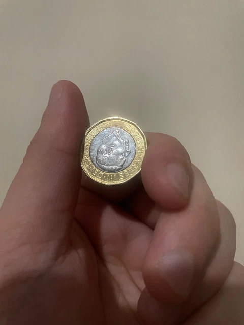 2025 KING CHARLES Third Bee One Pound Coin from a sealed Bag. 1 x £1 ...