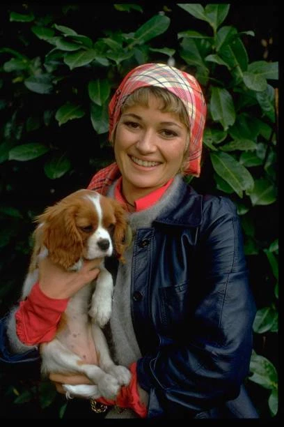 ACTRESS STEPHANIE BEACHAM photographed with a King Charles Spaniel 1973 ...
