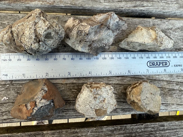 NEOLITHIC/ MESOLITHIC STONE Age Flint/ Stone Pot Boiler Cooking Stone ...