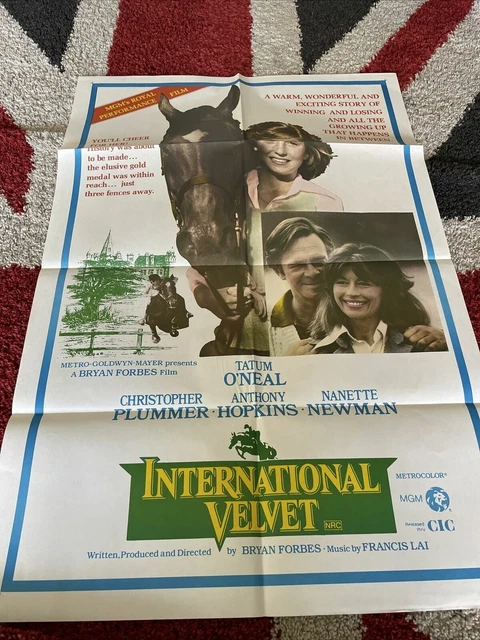 VINTAGE ORIGINAL CINEMA Movie Poster One Sheet Mancave International ...