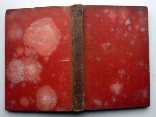 THE HITLER TERROR And Burning Of The Reichstage By Lord Marley, 1933 £5 ...