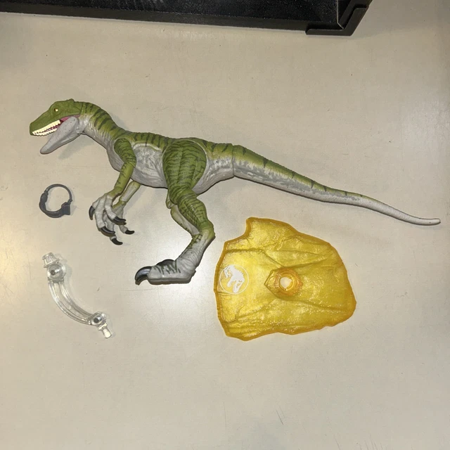 JURASSIC WORLD AMBER Collection Charlie Velociraptor 6” Figure Mattel ...