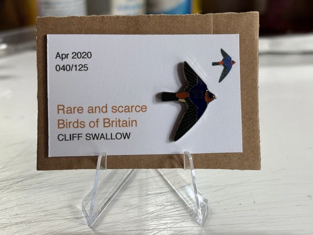 RSPB INTEREST CLIFF SWALLOW SGW quality enamel BIRD pin badge Rare ...