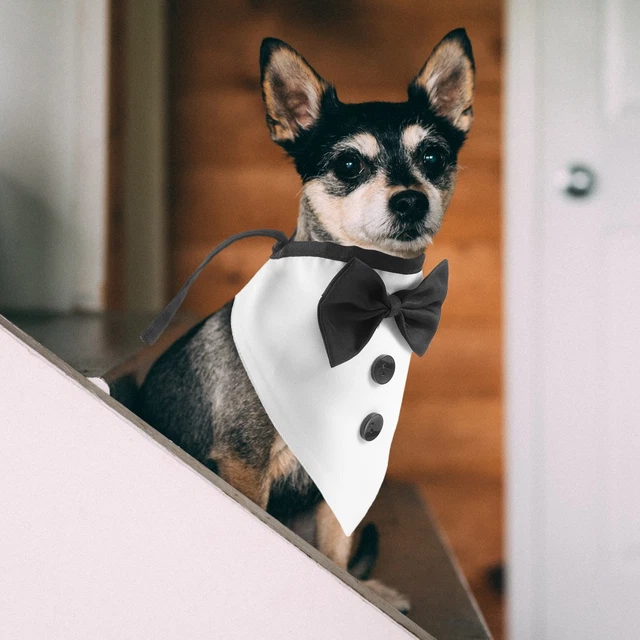 FORMAL DOG TUXEDO Bandana Dog Wedding Attire Collar with Bowtie Pet ...