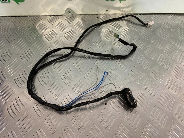 TRIUMPH TIGER 800 Xca Heated Grip Switch Year 2015-2017 (Stock 940) £49 ...