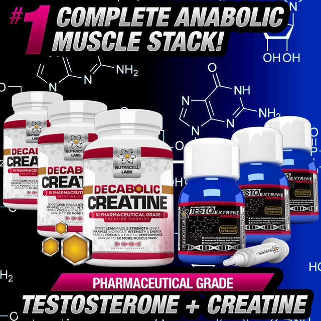 3 MONTH CYCLE Testo Anabolic +10 Blend Creatine - Strongest No Steroids ...