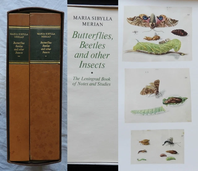 MARIA SIBYLLA MERIAN, BUTTERFLIES BEETLES AND OTHER INSECTS Leningrad ...