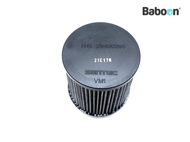 LUFTFILTER HARLEY-DAVIDSON RH 1250 S Sportster 2021-2023 (29400390) EUR ...