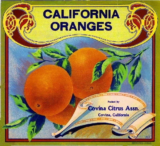 COVINA LOS ANGELES California Daisy Orange Citrus Fruit Crate Label Art ...