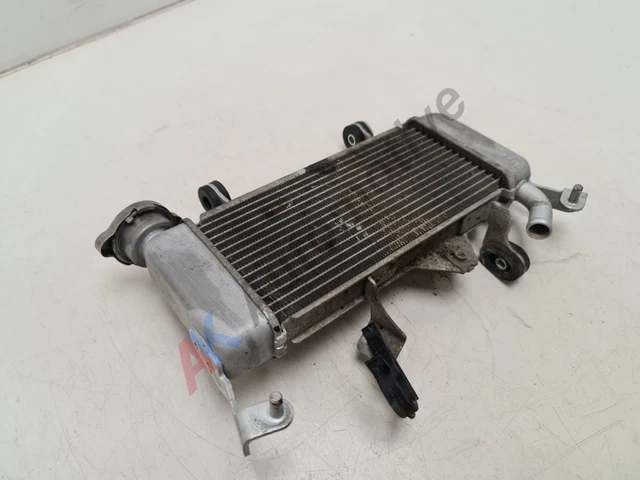 YAMAHA YZF R125 2019~2023 - Radiator $51.77 - PicClick